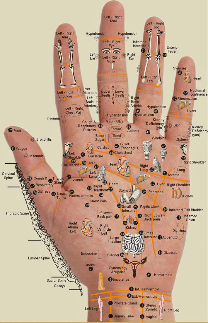 All Of Your Body Parts Are In The Palm Of Your Hand Just Press The 